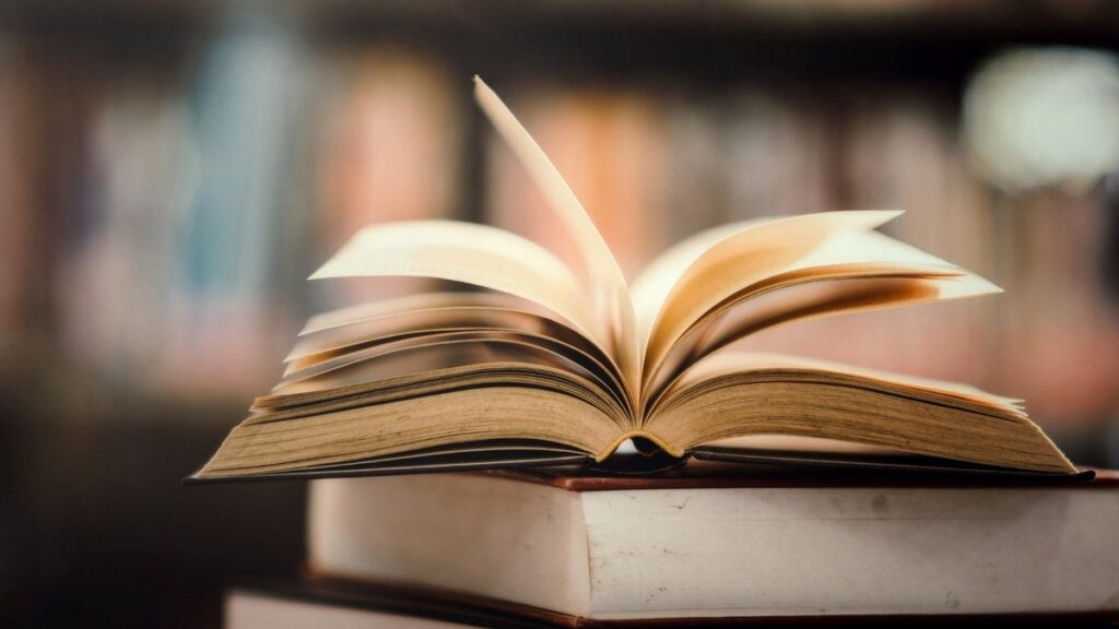 Monografia: exemplos e modelos de trabalho prontos